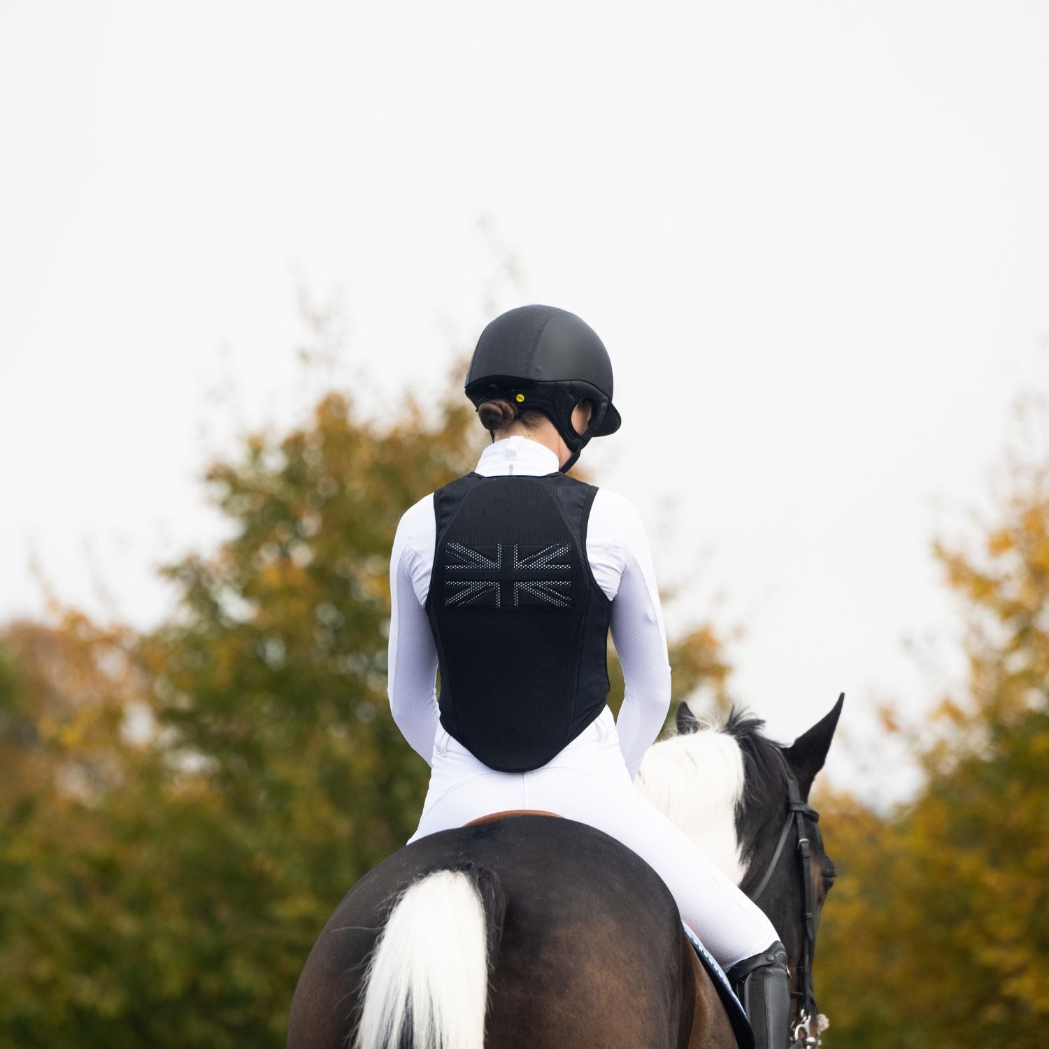 Body Protector vs Back Protector