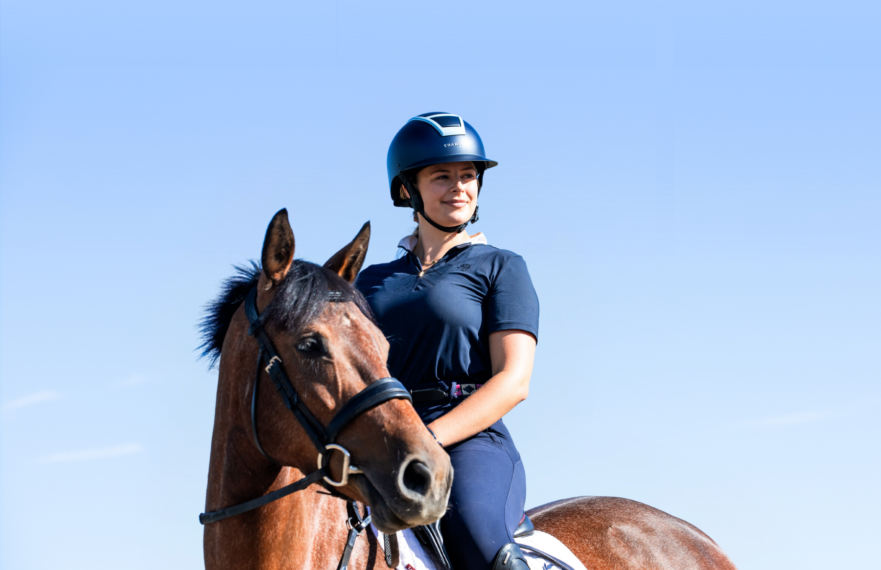 Champion Equestrian