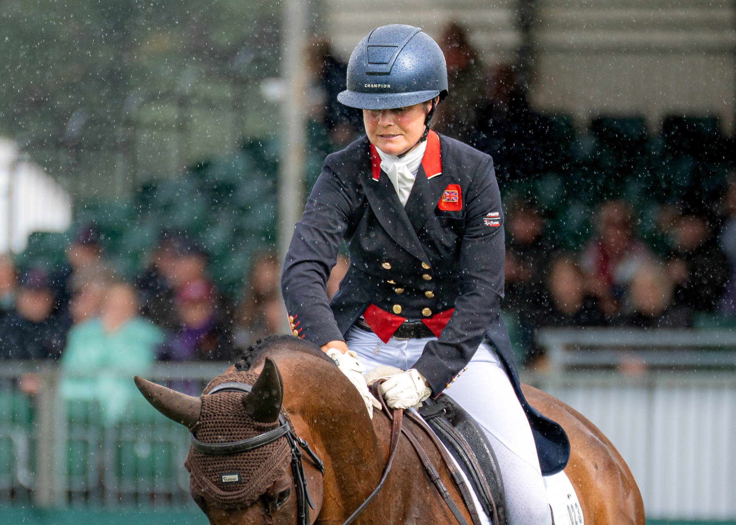 Champion Equestrian